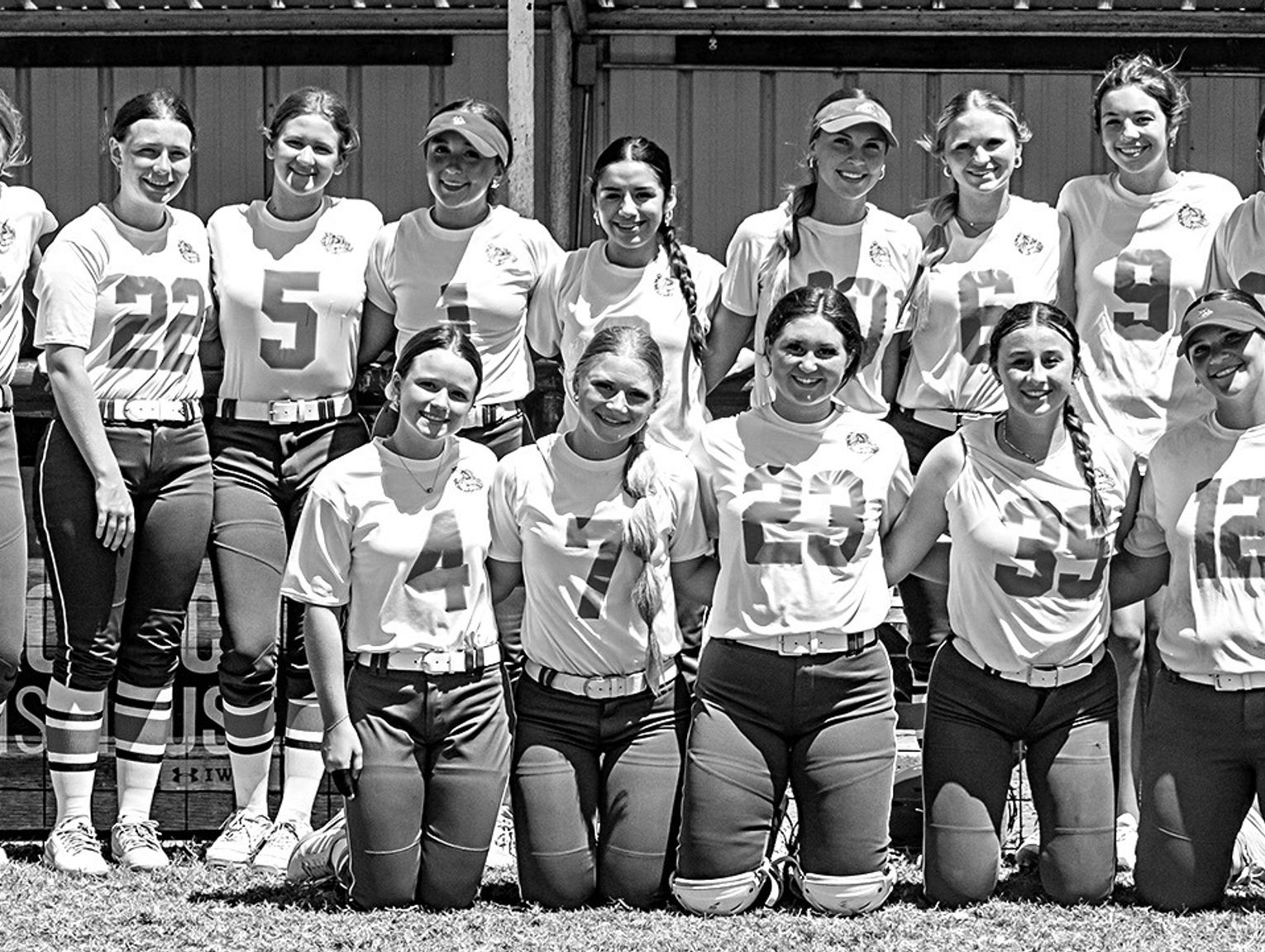 Bats Alive As Lady Dogs Humble Madill, 28-1